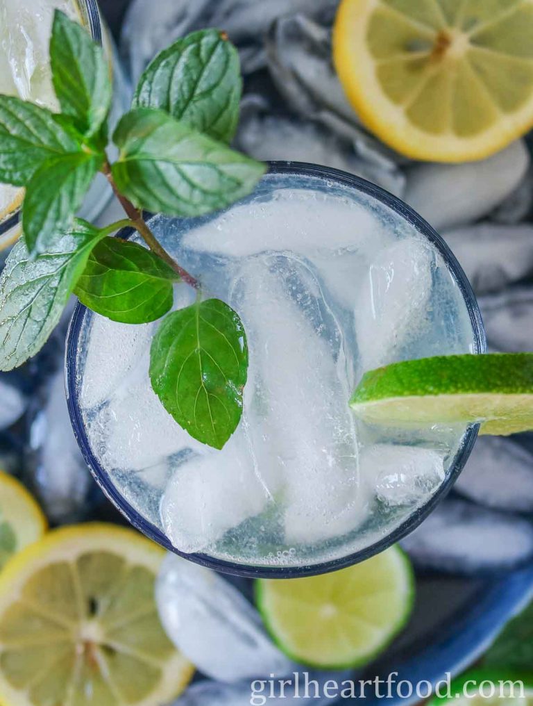 Vodka Soda (Four Simple Ingredients) | Girl Heart Food®
