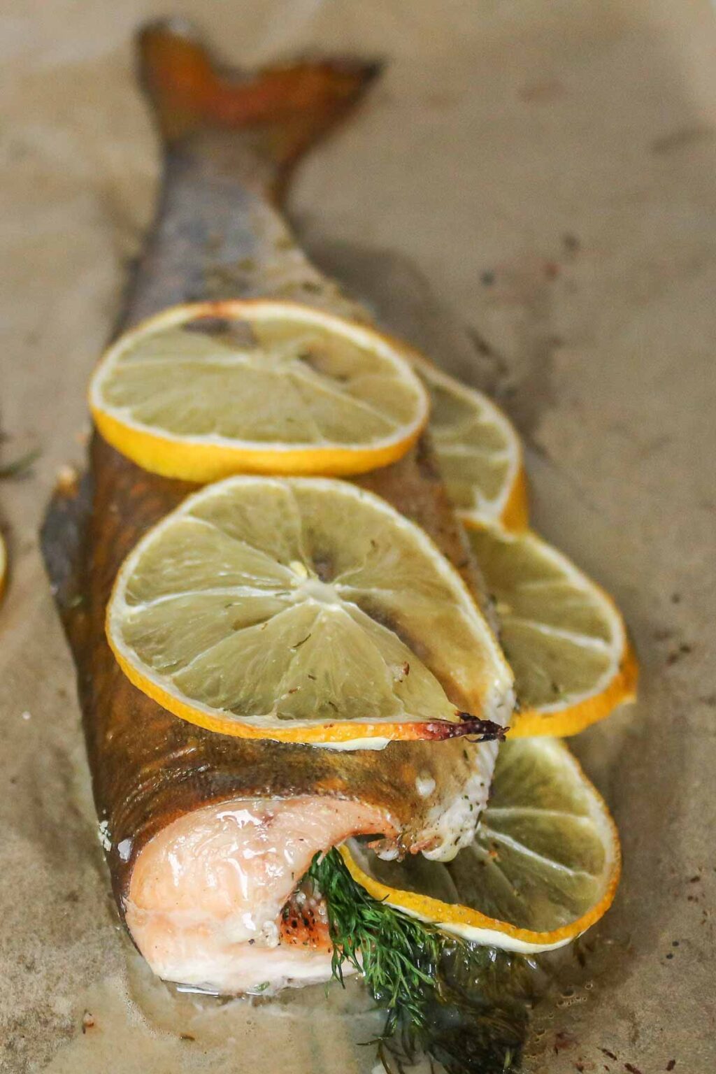 Baked Trout With Lemon and Dill | Girl Heart Food®